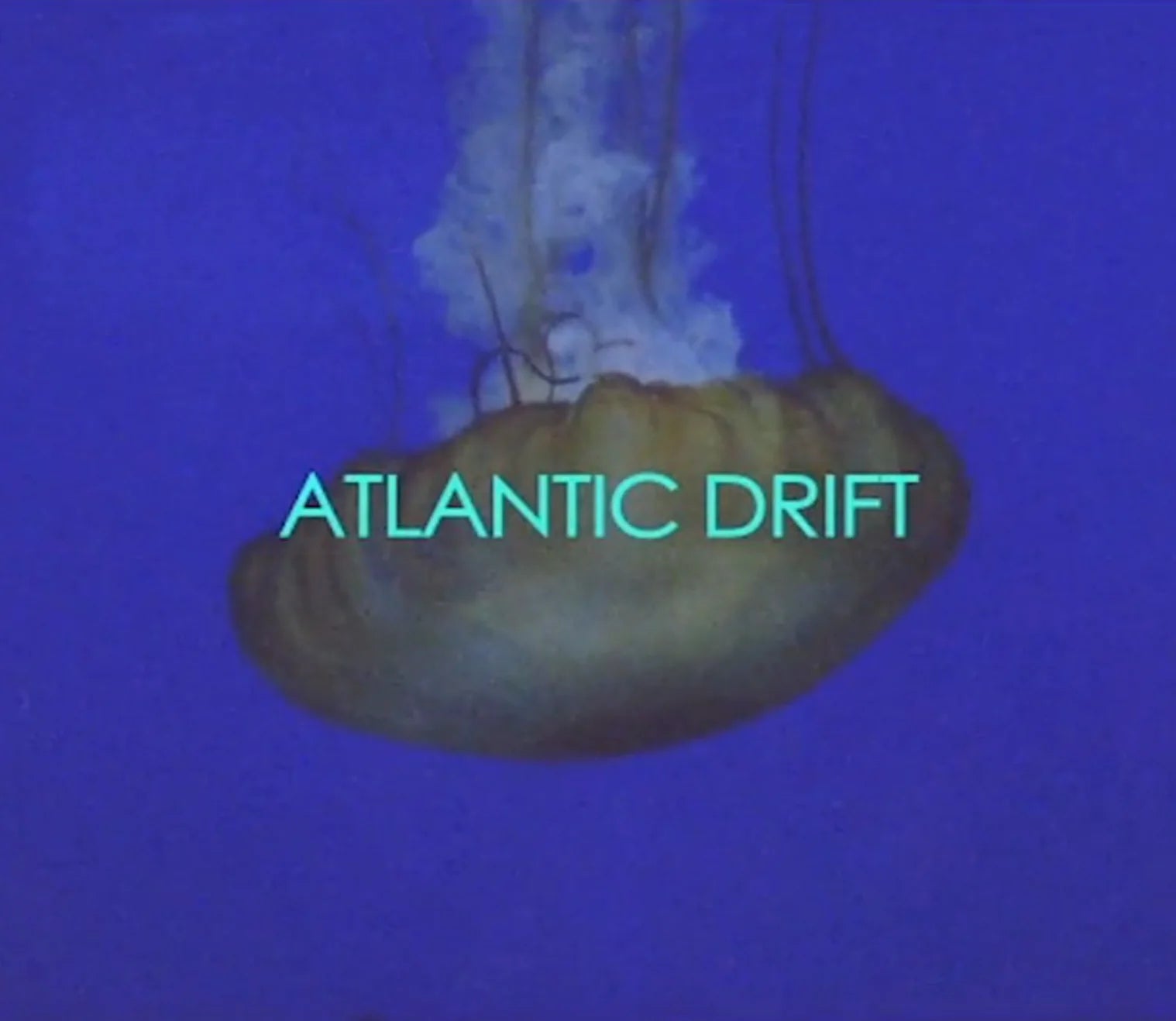 Atlantic Drift Logo